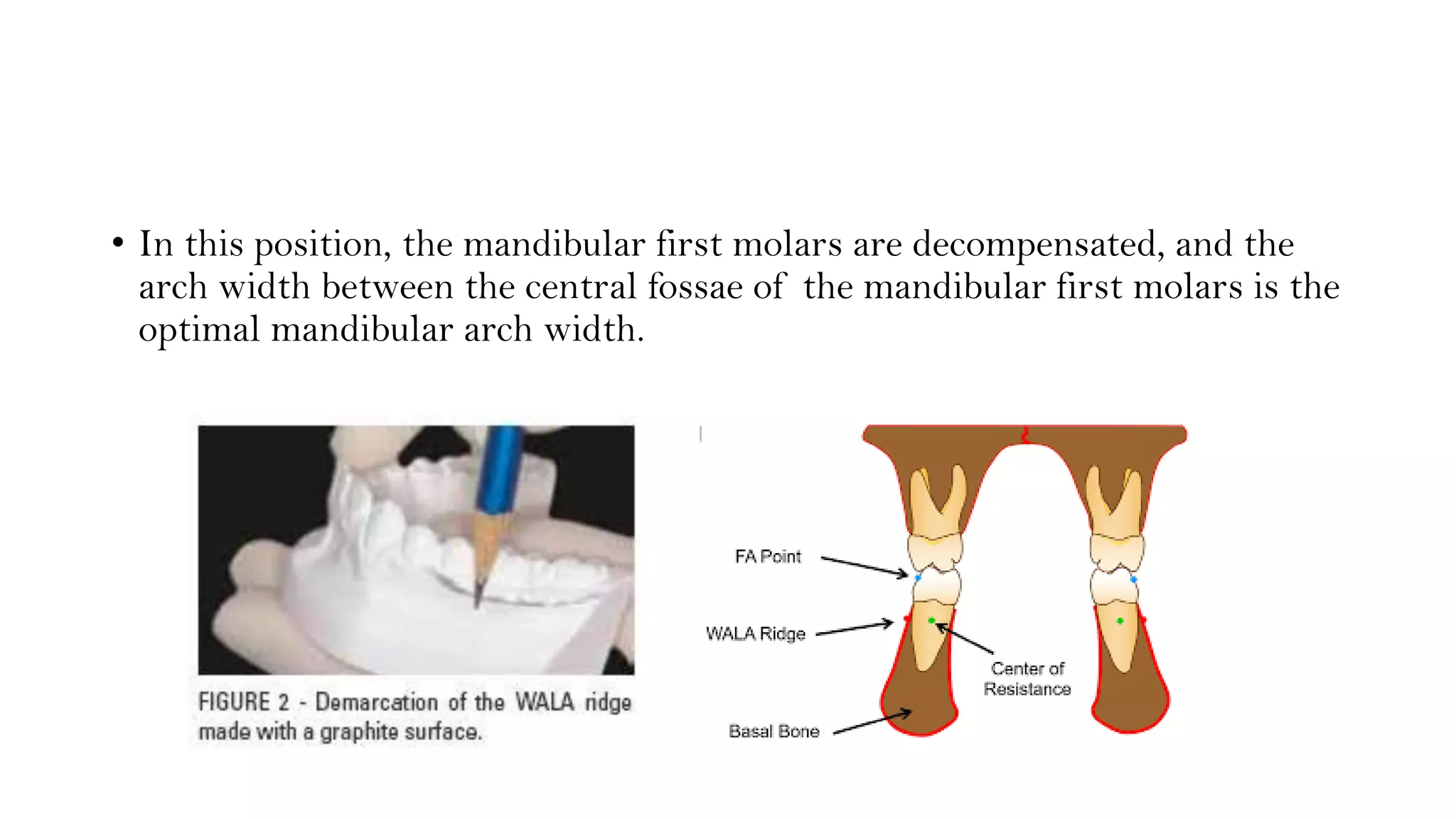 Diagnosis And Treatment In Transverse Dimension | PDF