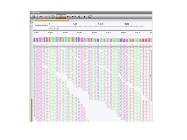 NGS in illumina platform | PPTX | Biotech and Biomedical Industry | Industries