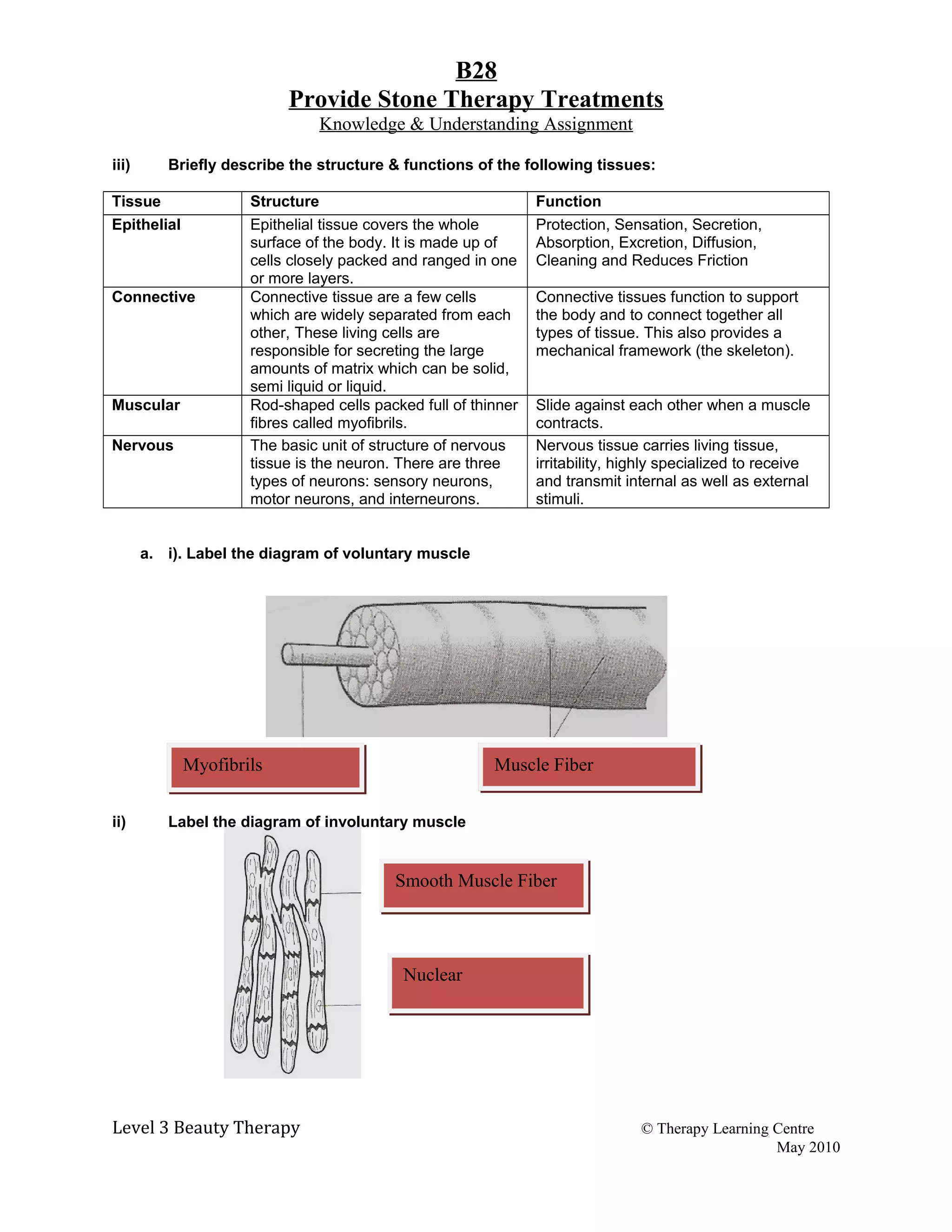 B28_Provide_Stone_Therapy_new | DOC