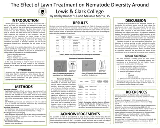 Corrected Nematode Poster 40x32 | PDF | Gardening | Home & Garden