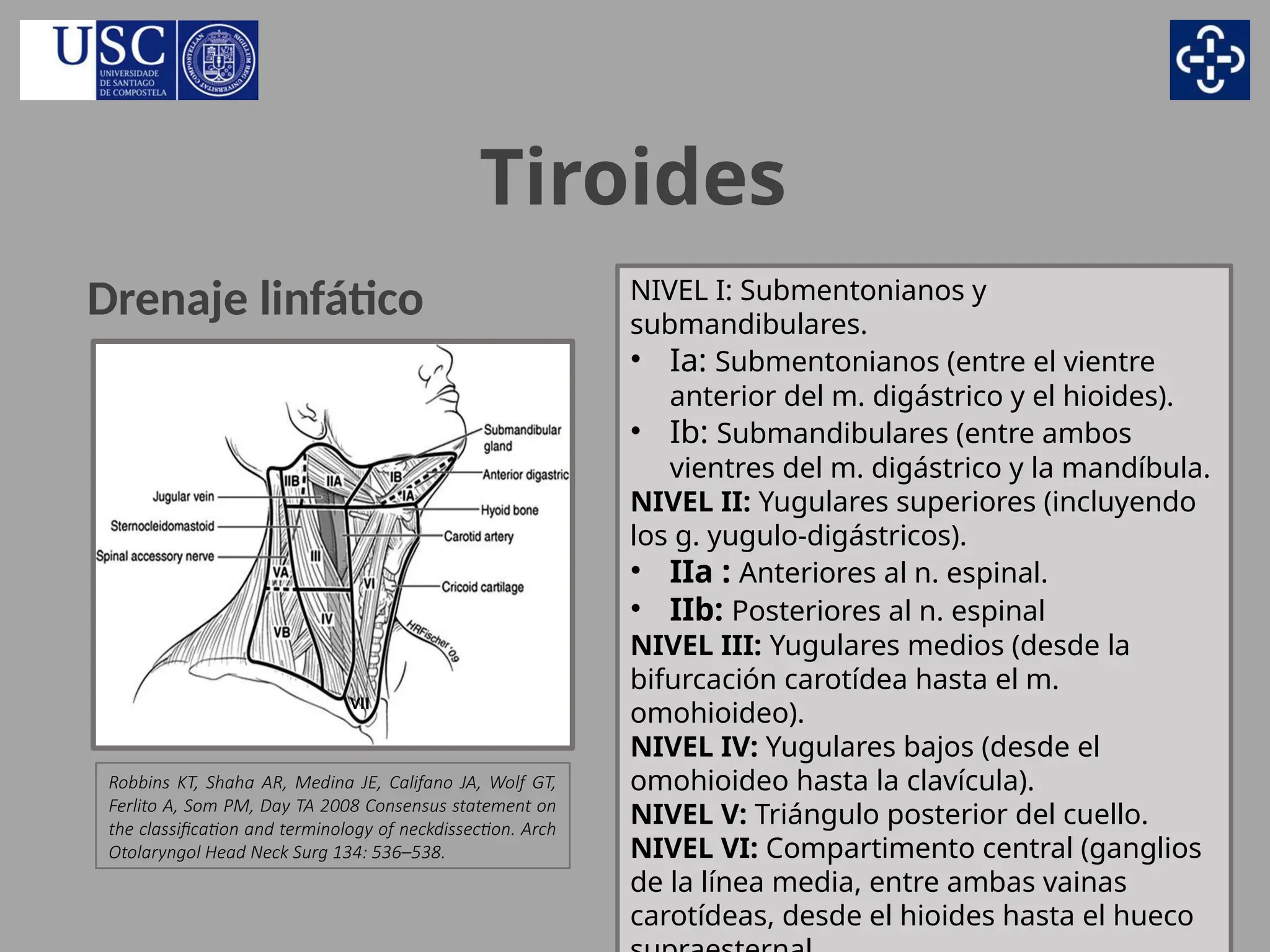 Tiroides en sistema endocrino y glándulas paratiroides | PPTX