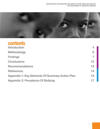 Bullying Summary Report_FINAL | PDF