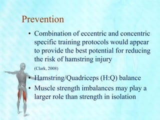Interventions for prevention and rehabilitation of hamstring injuries | PPT