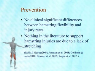 Interventions for prevention and rehabilitation of hamstring injuries | PDF