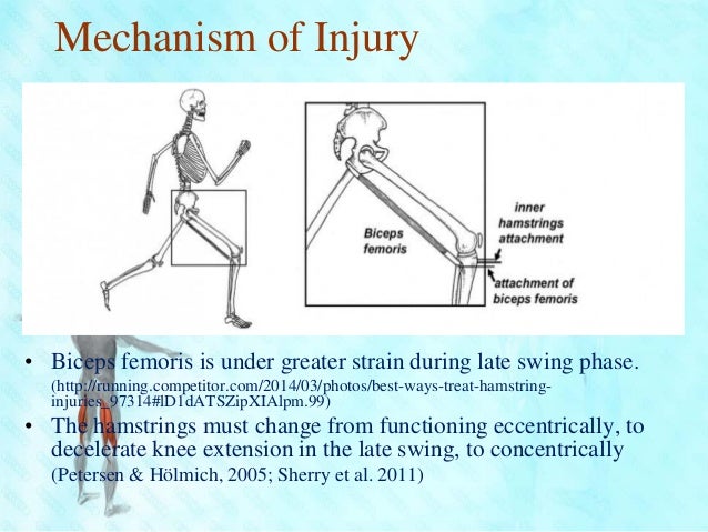 Interventions for prevention and rehabilitation of hamstring injuries