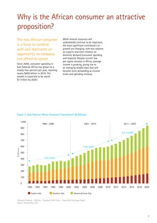 Accenture The Dynamic African Consumer | PDF