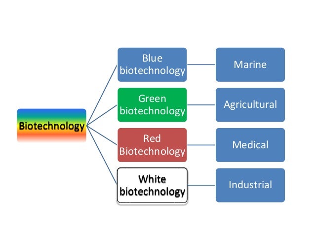 Biotechnology and Medicine