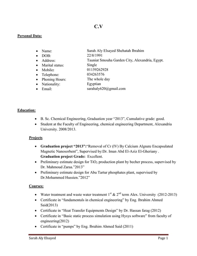 Curriculum Vitae- Sarah Ibrahim | PDF