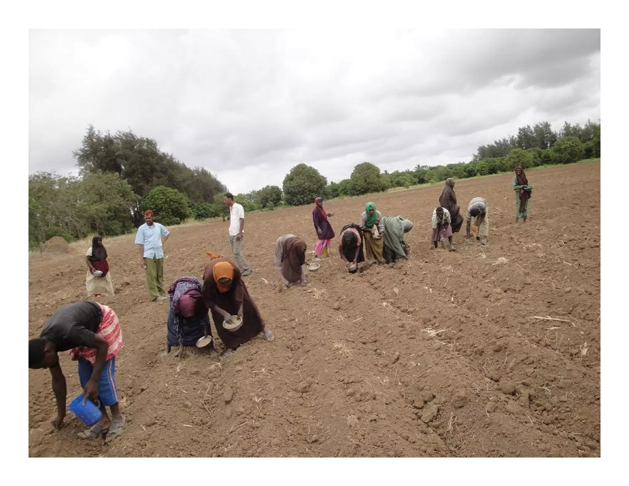 DASE Demo plot activities | PDF