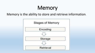 Memory, Concentration and | PPTX