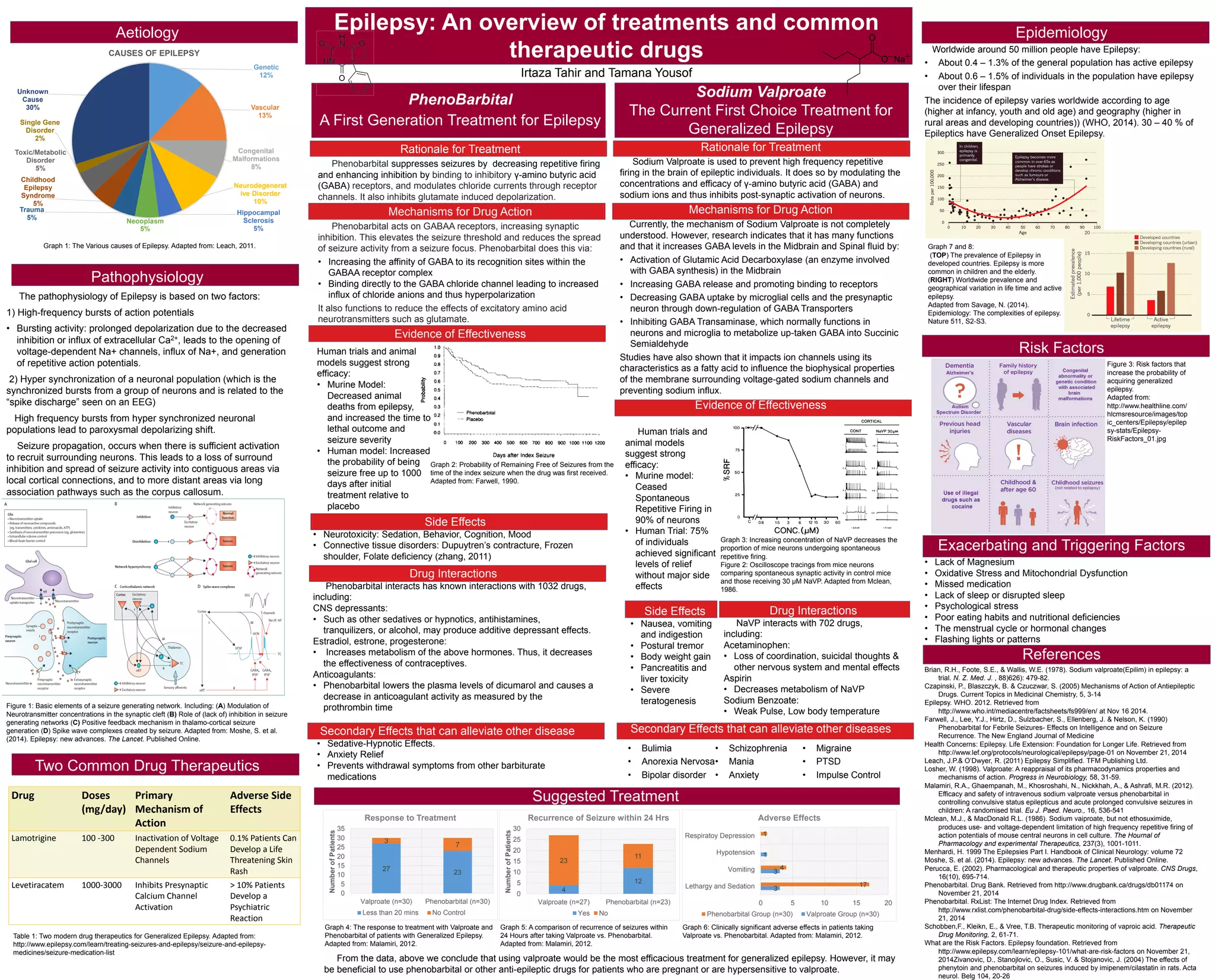 Epilepsy Poster titiu | PDF