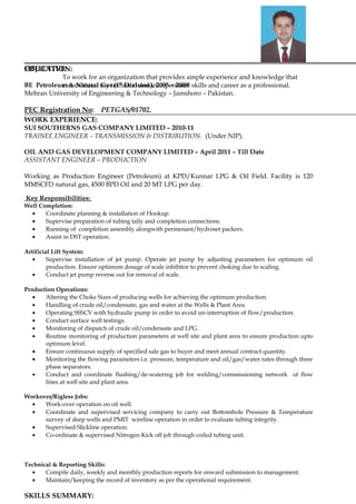 Najeeullah CV | DOC