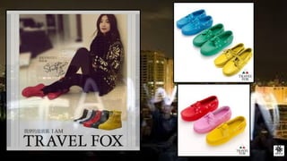 Travel Fox Presentation 2 | PDF