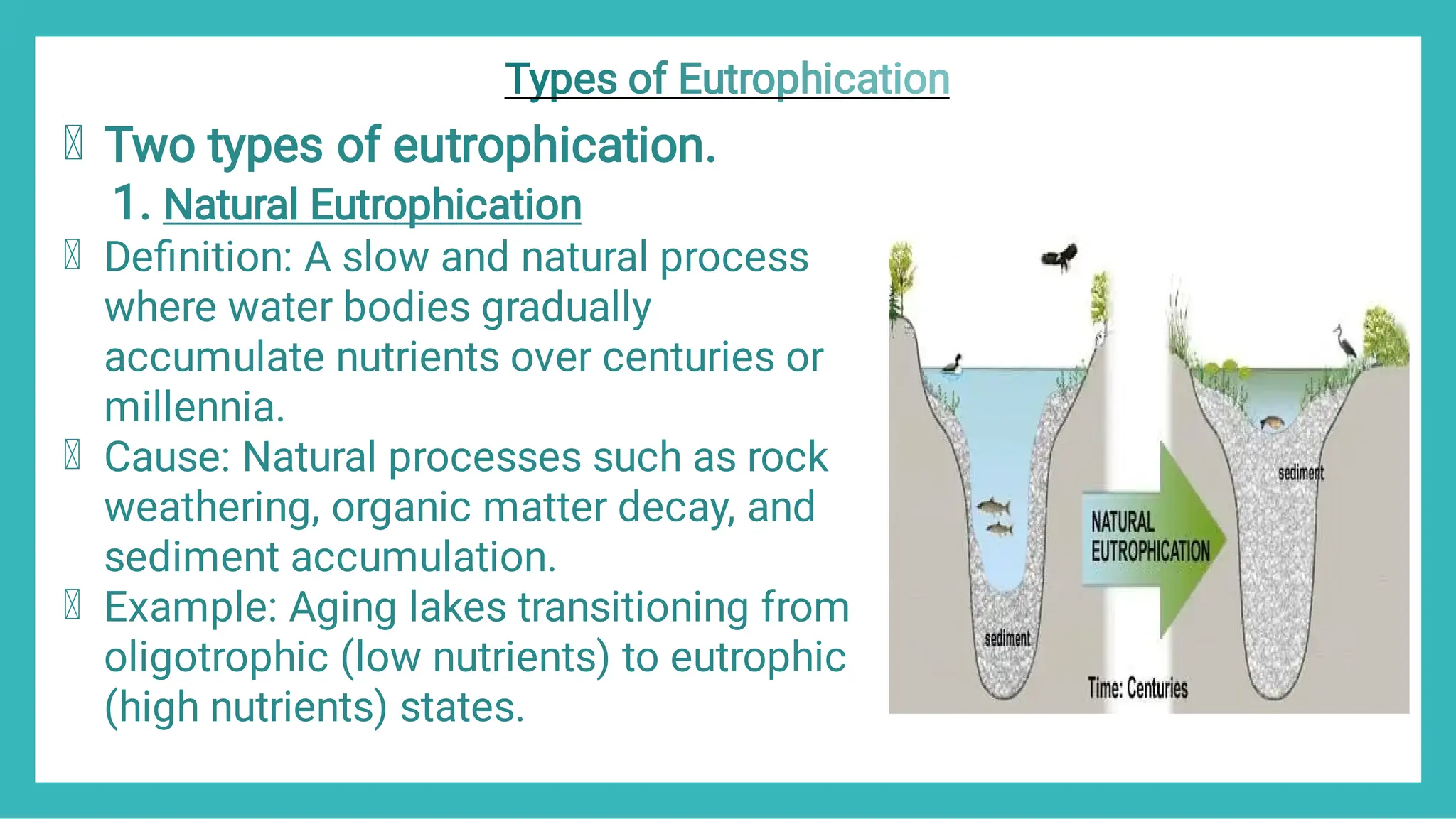 Zonation of water ecosystem - upwelling - eutrophication. | PDF