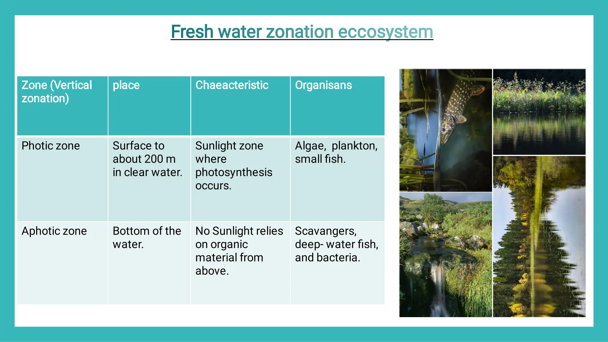 Zonation of water ecosystem - upwelling - eutrophication. | PDF