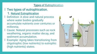 Zonation of water ecosystem - upwelling - eutrophication. | PDF