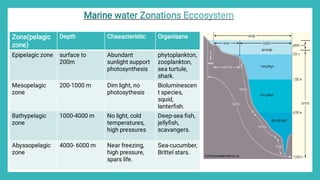 Zonation of water ecosystem - upwelling - eutrophication. | PDF