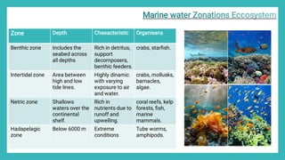 Zonation of water ecosystem - upwelling - eutrophication. | PDF