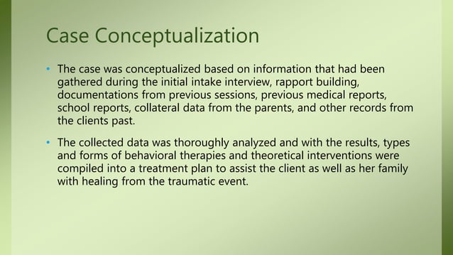 Case Conceptualization Ppt