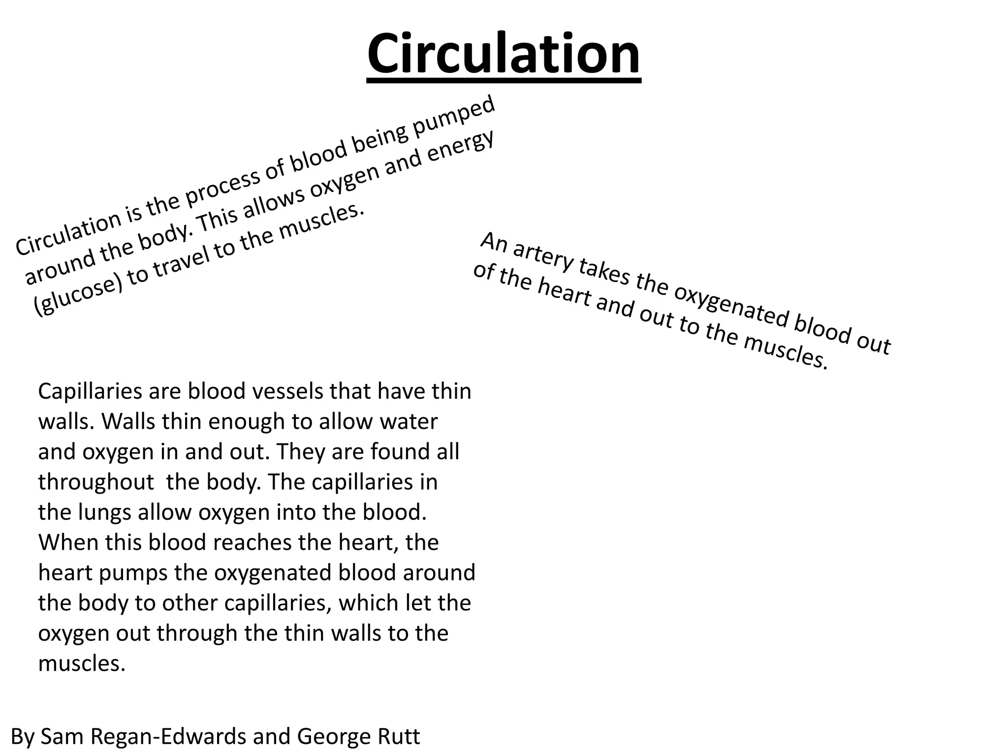 8E circulation posters | PPTX