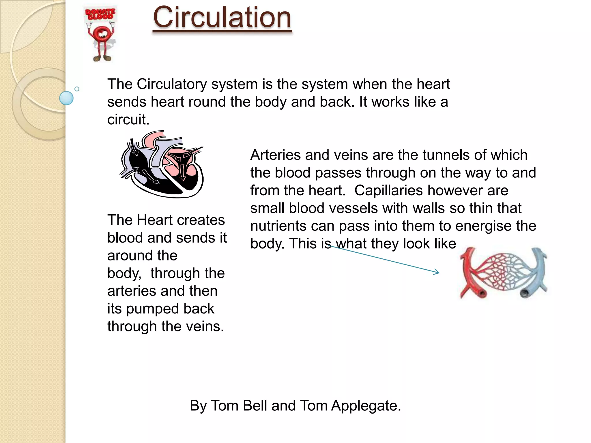 8E circulation posters | PPTX