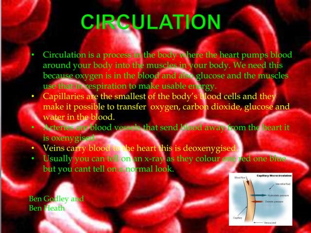 8E circulation posters | PPTX