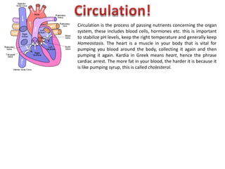 8E circulation posters | PPTX