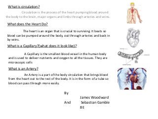 8E circulation posters | PPTX