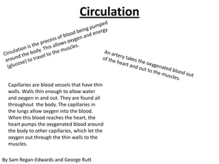 8E circulation posters | PPTX