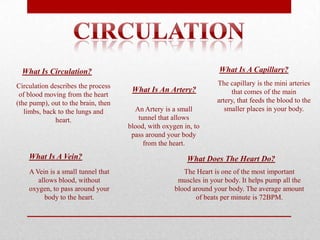 8E circulation posters | PPTX