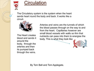 8E circulation posters | PPTX