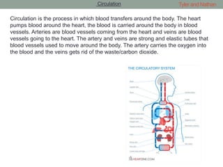 8E circulation posters | PPTX