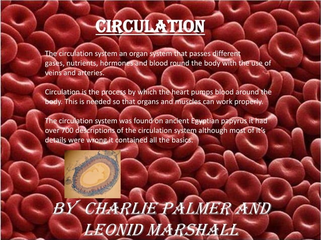 8E circulation posters | PPTX