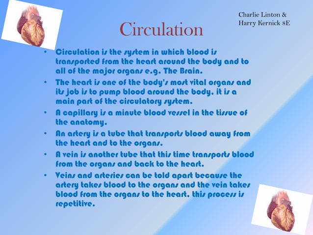 8E circulation posters | PPTX