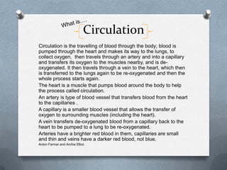 8E circulation posters | PPTX