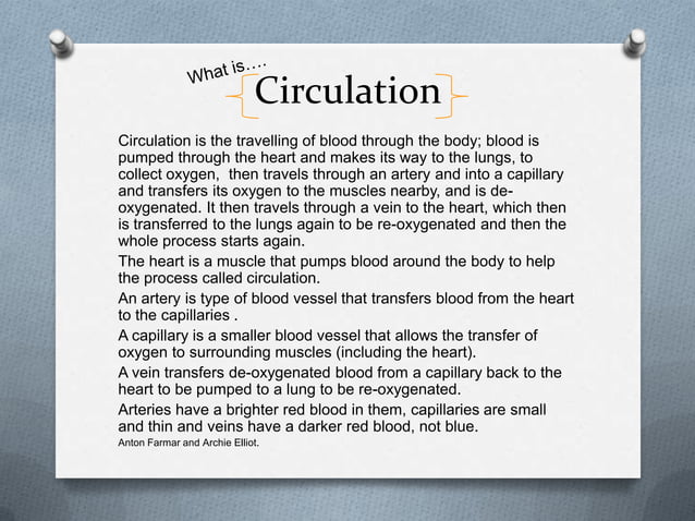 8E circulation posters | PPTX