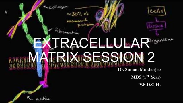 Extracellular Matrix : Session 2 | PPT