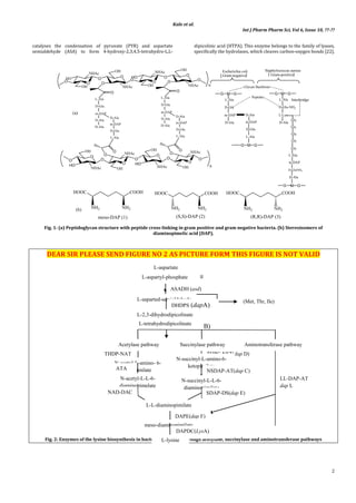 review-2.PDF