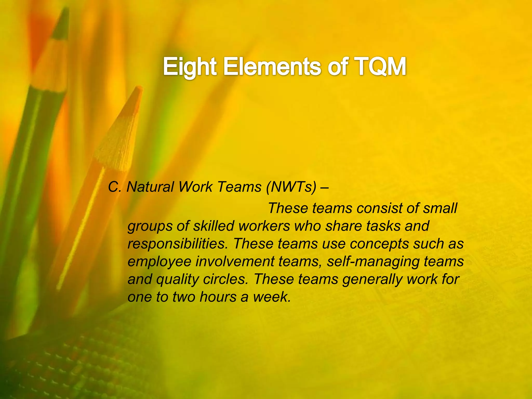 8 elements 0f tqm | PPTX