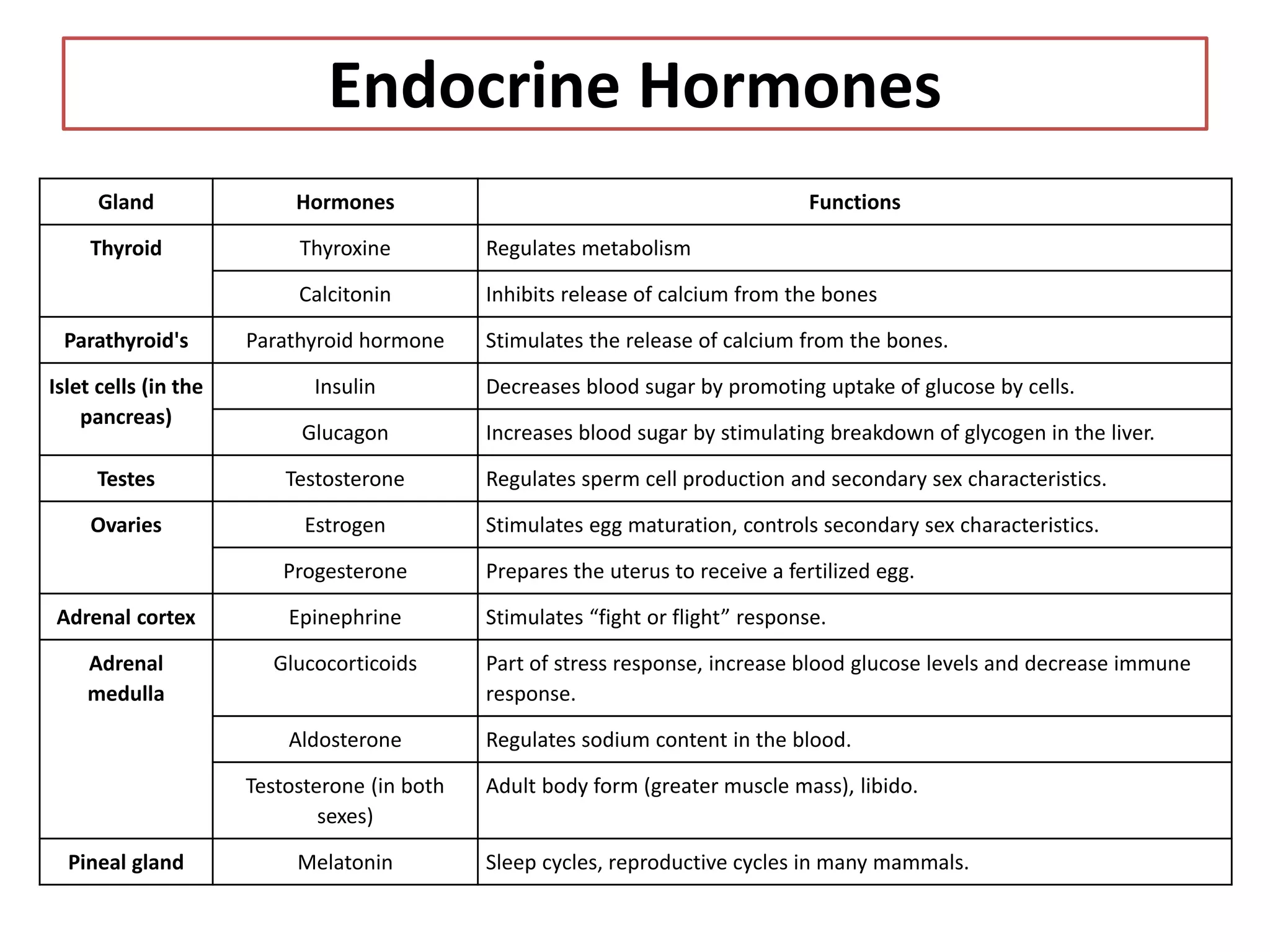 Endocrine system | PPTX | Hormonal Disorders | Endocrine and Metabolic ...