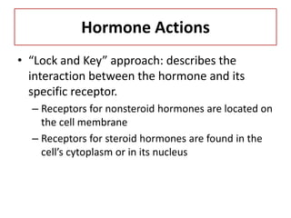 Endocrine system | PPTX