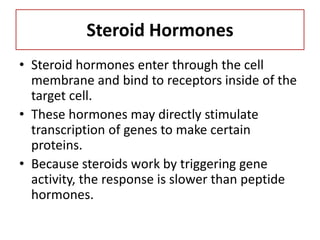 Endocrine System And Steroids