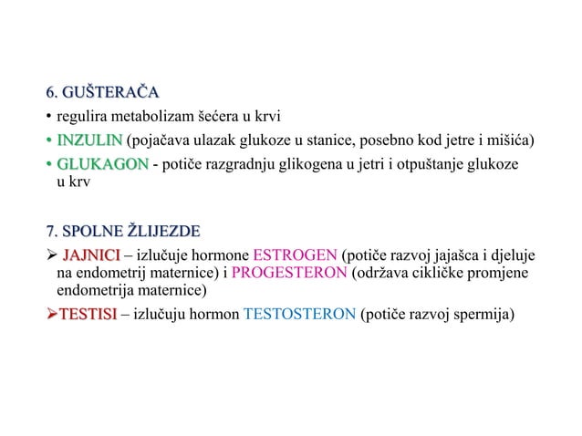 Endokrini sustav | PPTX