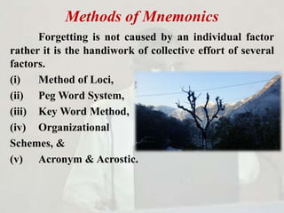 mnemonics in English | PPSX