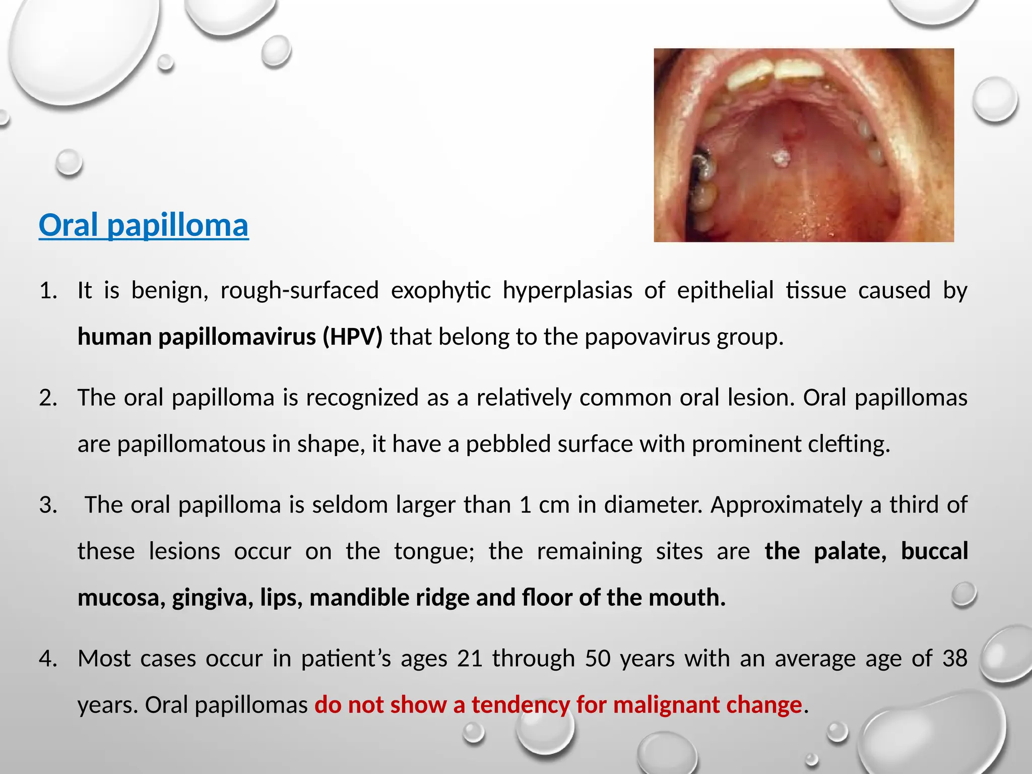 the exophaytic lesions in oral mucosa .pptx