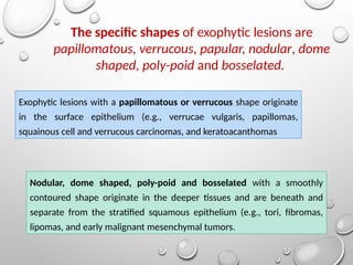 the exophaytic lesions in oral mucosa .pptx