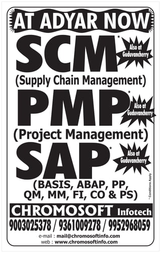 A3 Size Banner | PDF