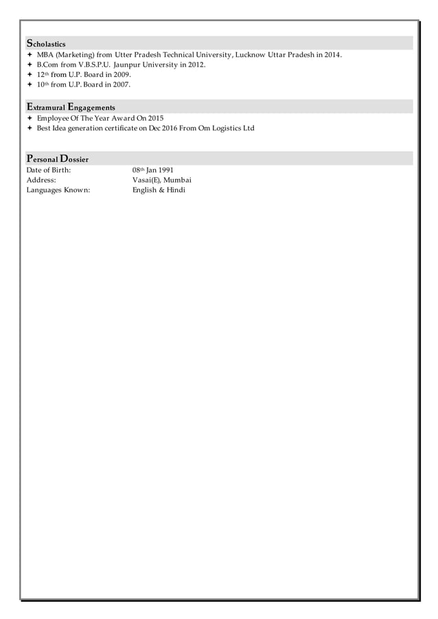 anish Resume | DOCX | Logistics | Business