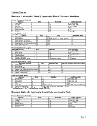 Sample Workout Program | DOCX | Physical Therapy | Wellness