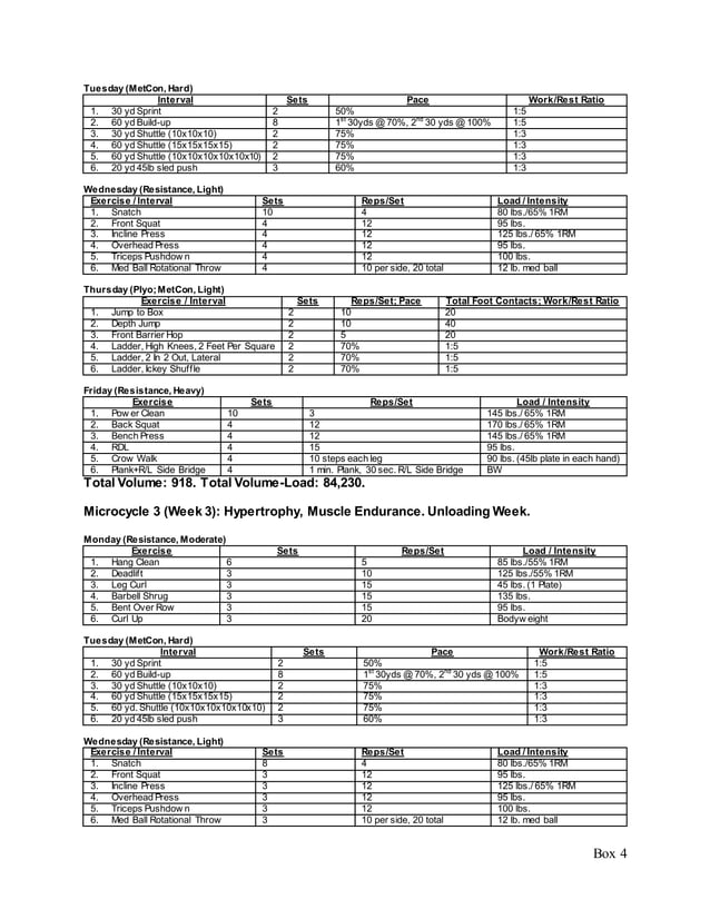 Sample Workout Program | DOCX | Physical Therapy | Wellness